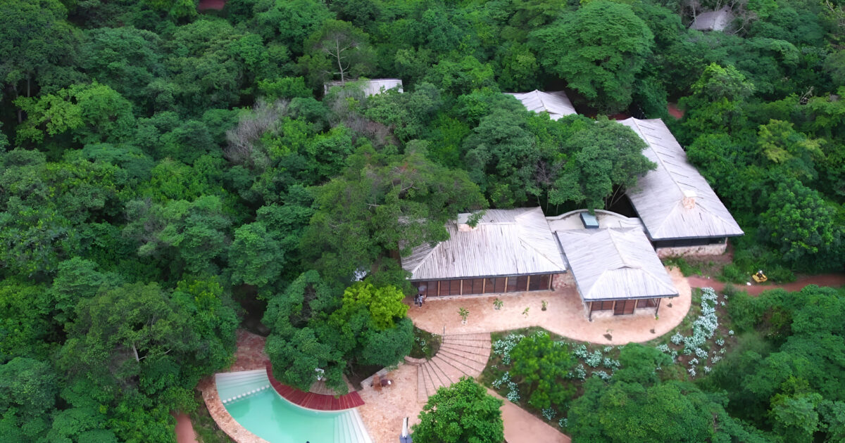 Avila Reizen | Entebbe Forest Lodge